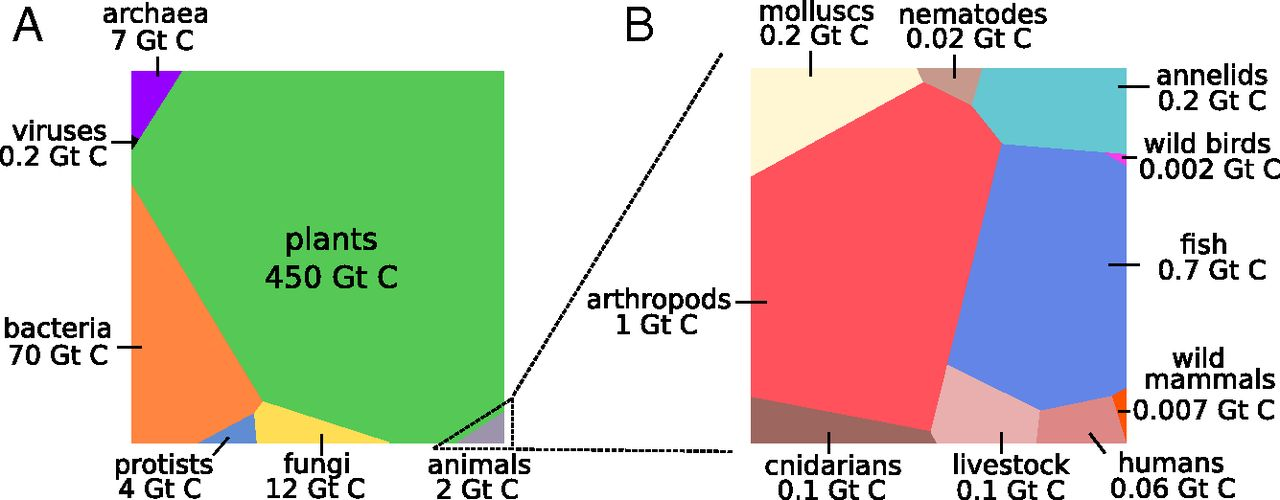 Above-Ground Biomass - eoPortal
